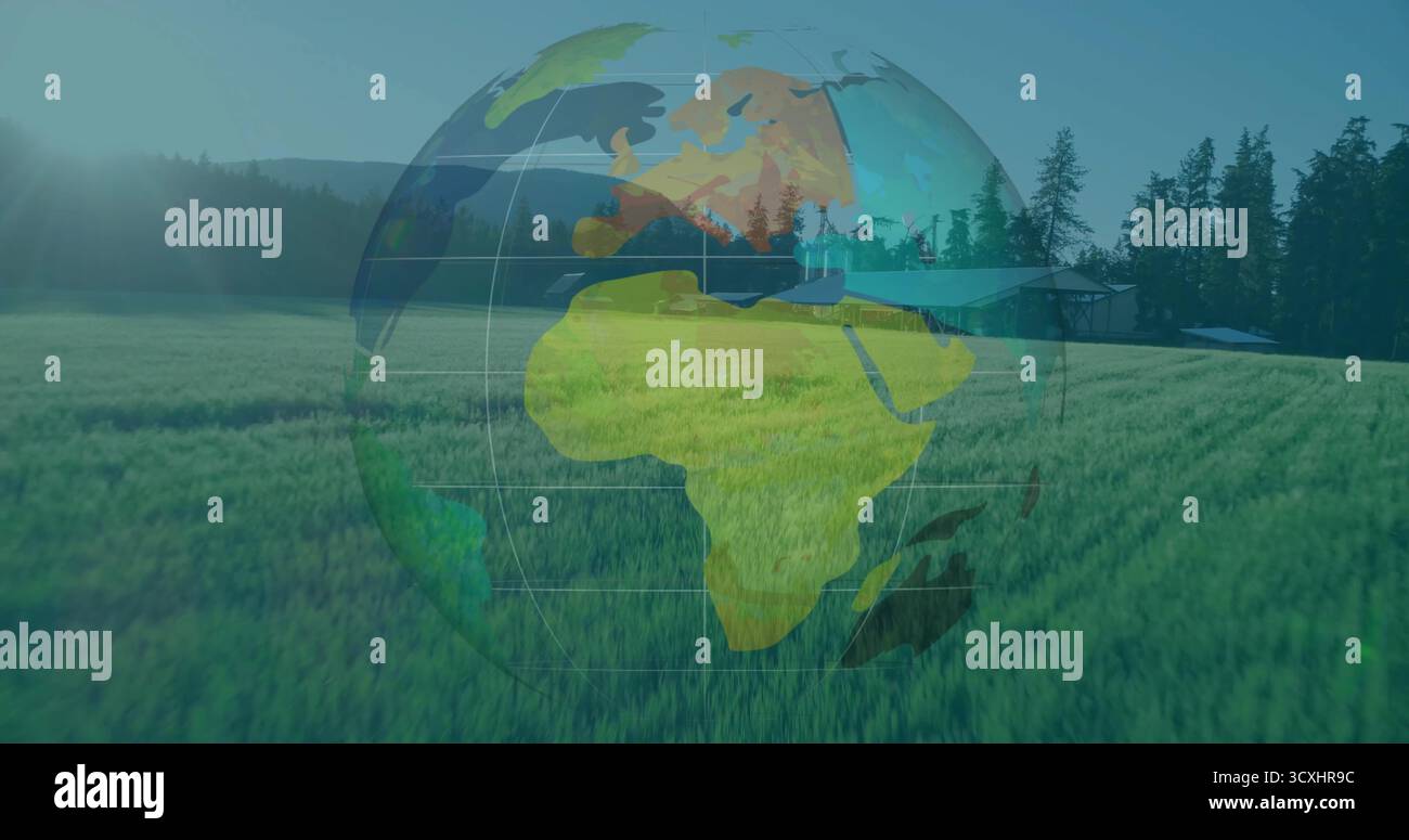 Hovering translucent digital globe overlay showing continents in meadow ...