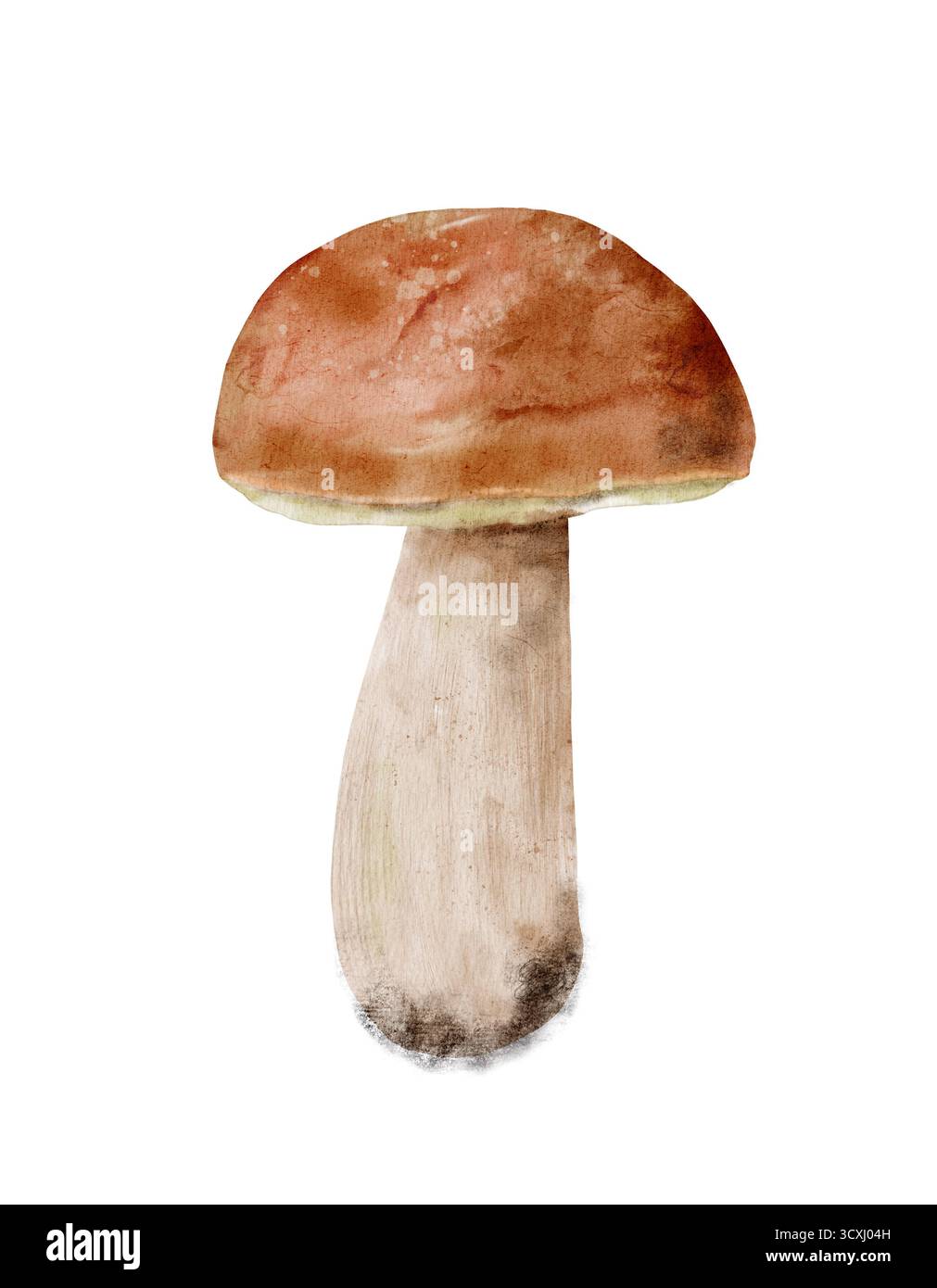 Rich themes Cut Out Stock Images & Pictures - Alamy