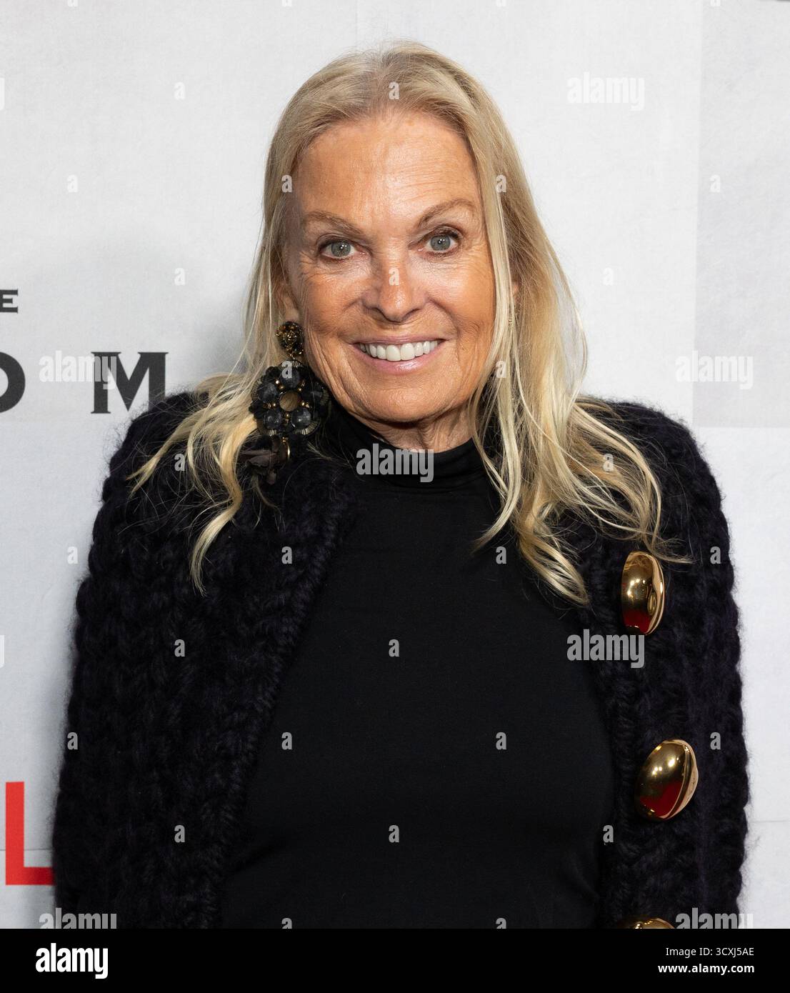 Ambassador Jane Hartley attends the special screening of Netflix's "The ...