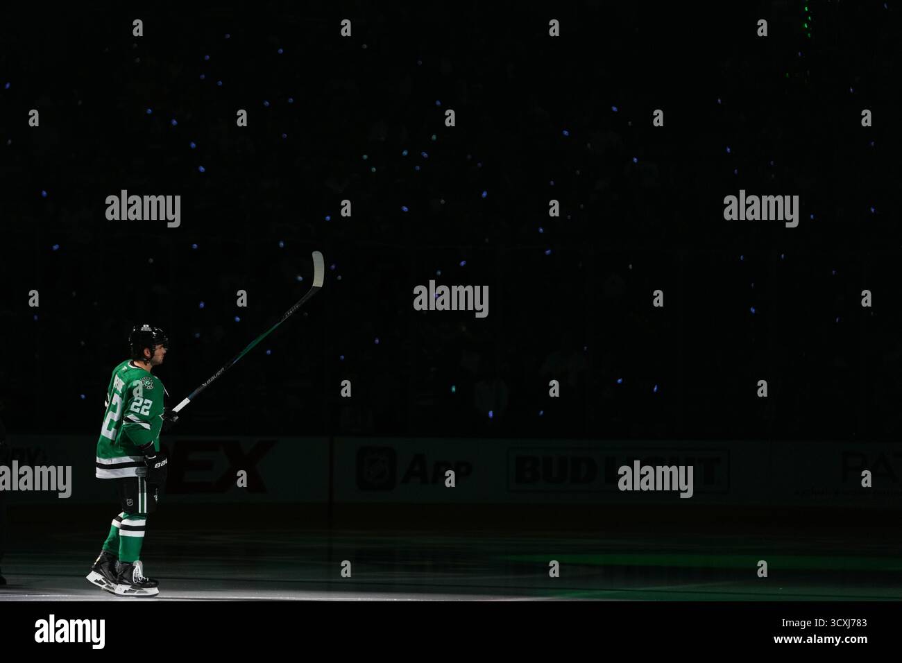 Dallas Stars center Mavrik Bourque is introduced onto the ice prior to ...