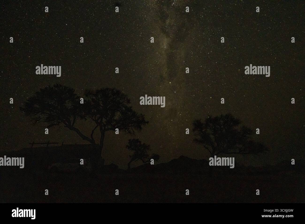 Starry night sky with the Milky Way visible over the Namibian desert. A ...