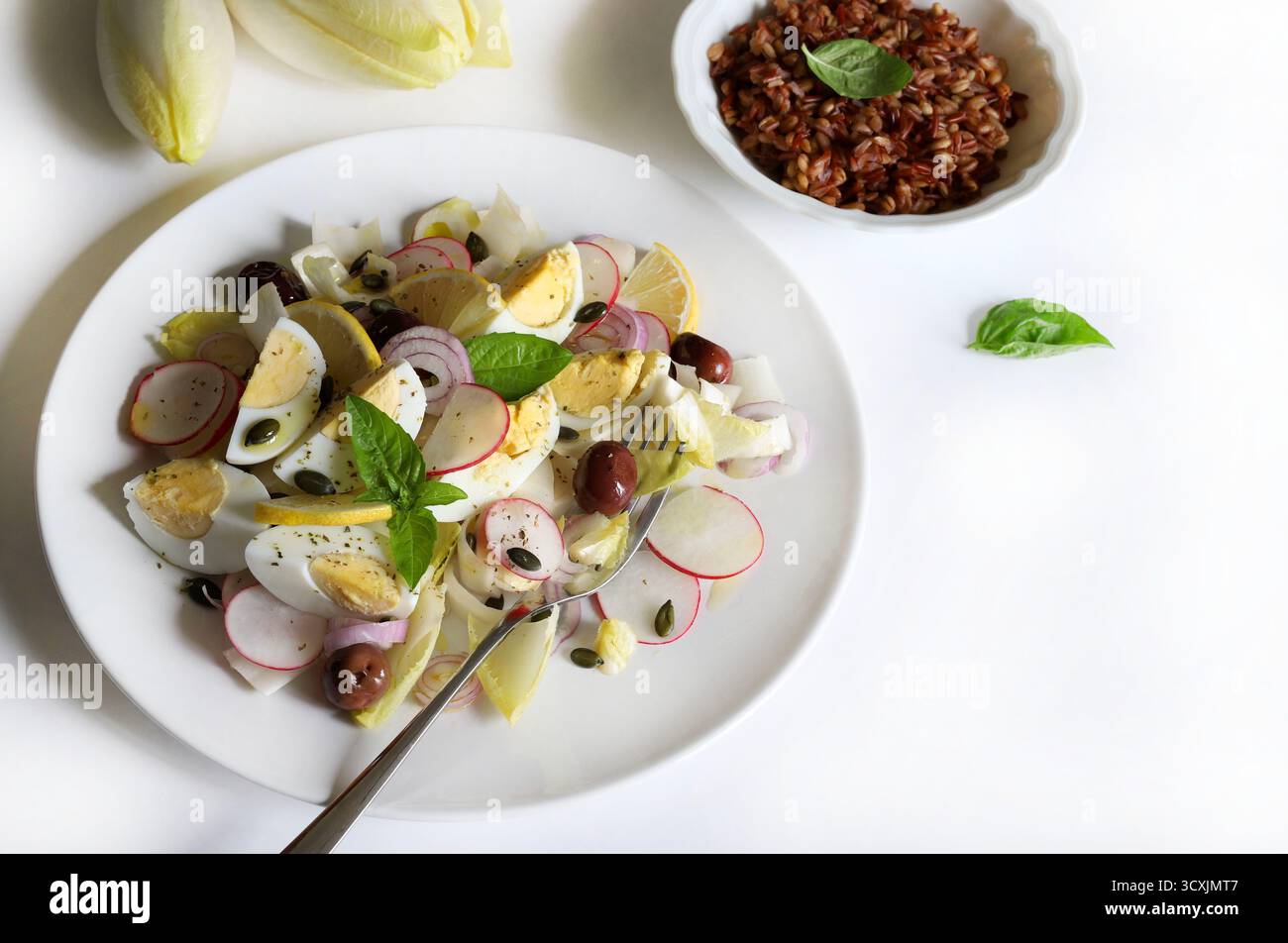 Fresh salad with endive, boiled eggs, radish, onion, olives, lemon ...