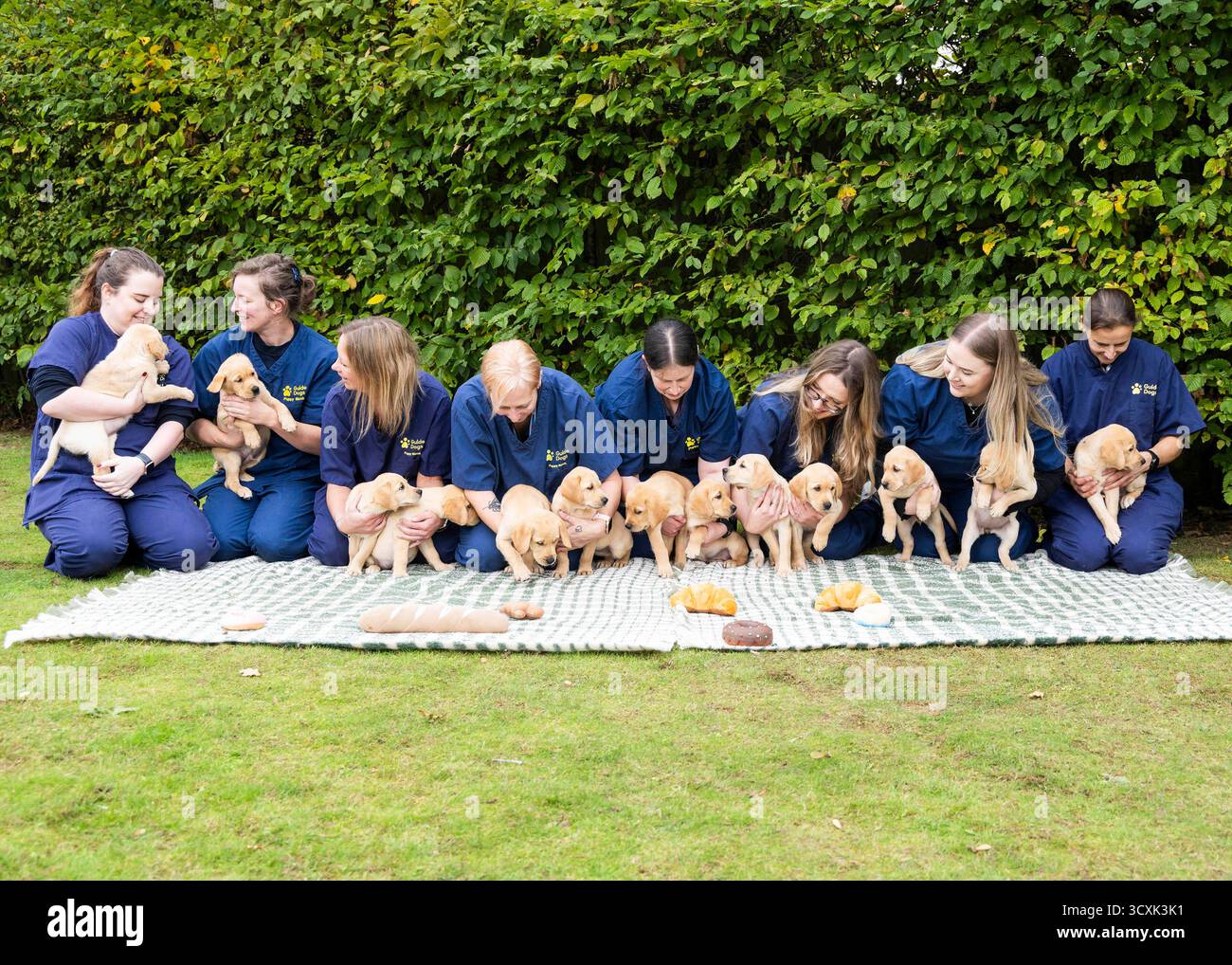 EMBARGOED TO 0001 THURSDAY OCTOBER 16 EDITORIAL USE ONLY A litter of 13 ...