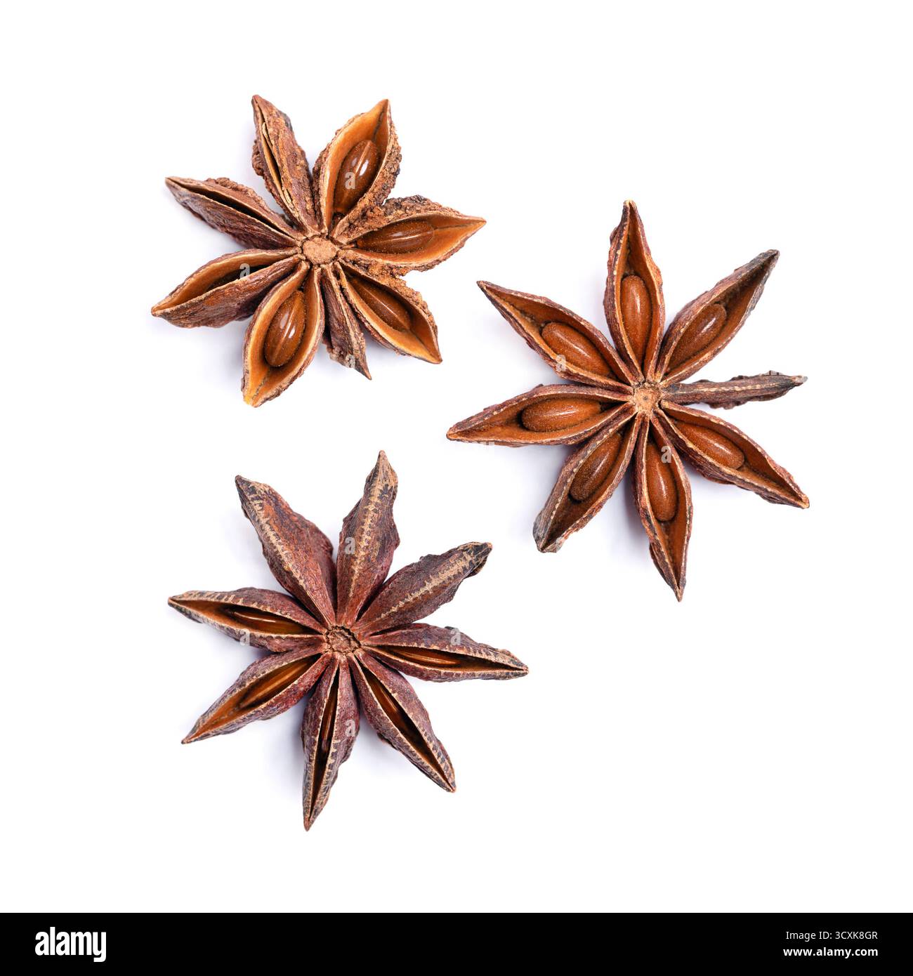 Star anise fruits and seeds, on white background. Illicium verum, also ...