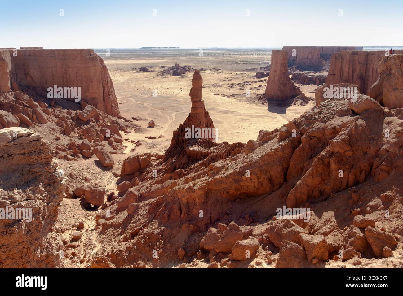 Arid desert landscape revealing a geological canyon with unique rock ...