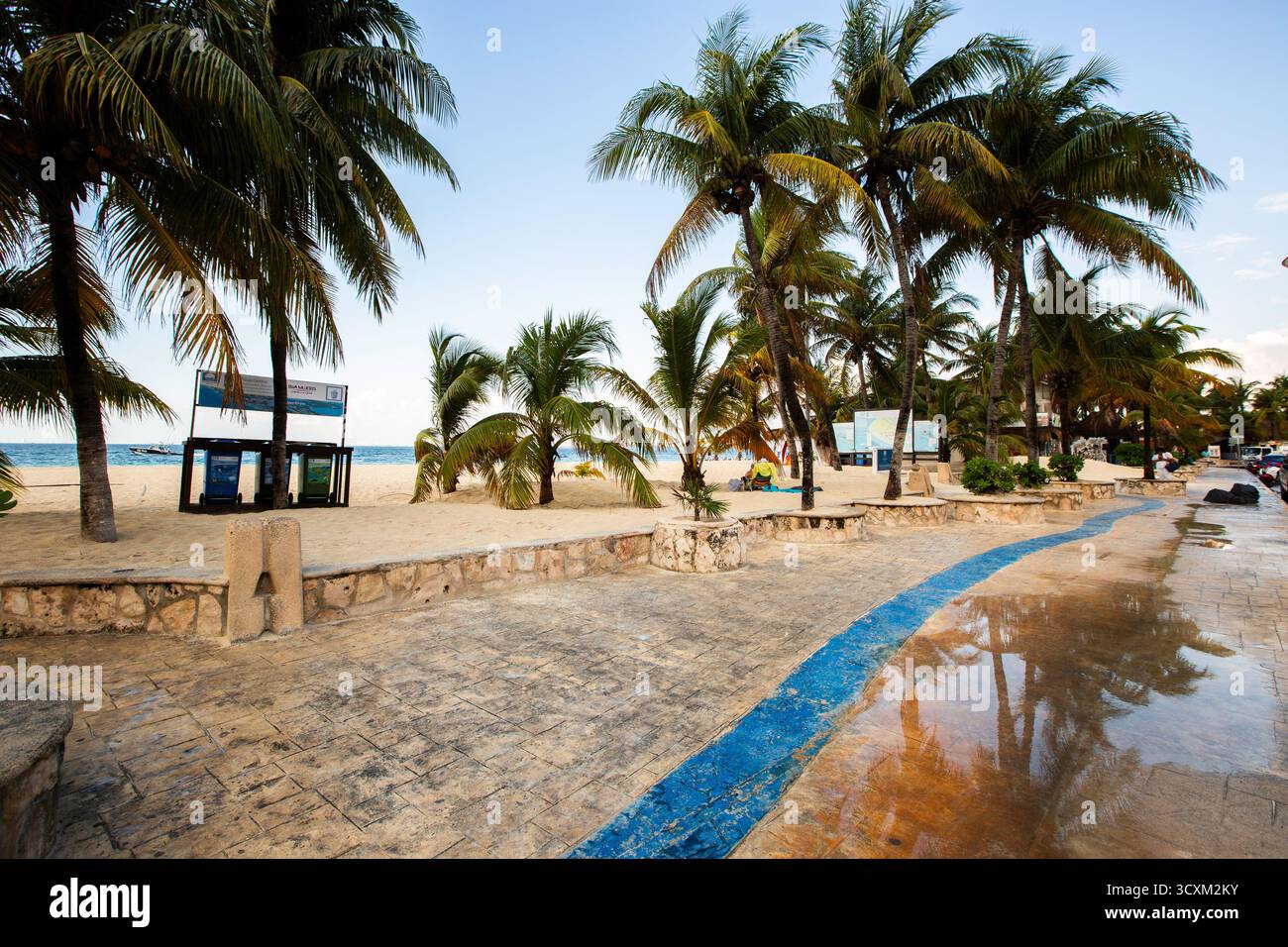 Isla Mujeres, Cancun, Mexico Beach with palm trees and a blue line on ...