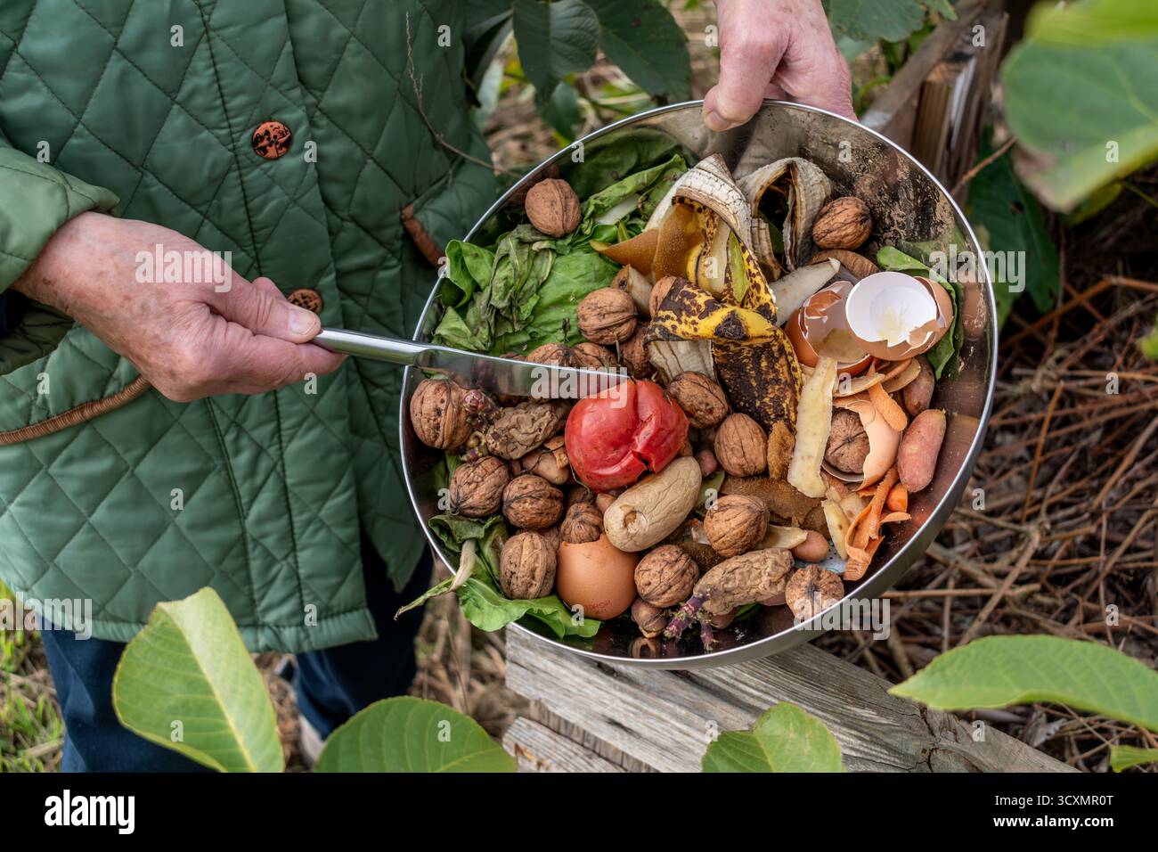 Kitchen waste deposit for compost in the garden Stock Photo - Alamy