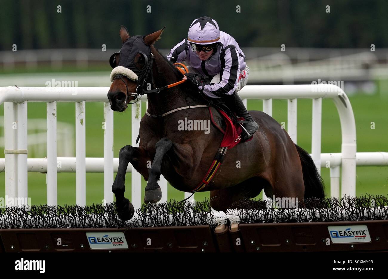 A Law Of Her Own ridden by Sam Ewing on their way to winning the ...