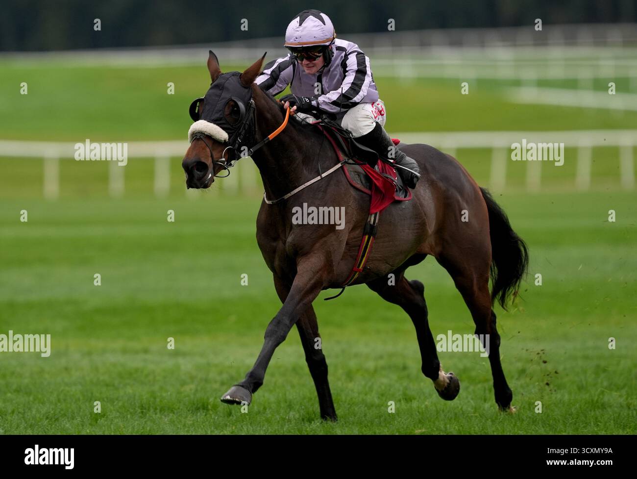 A Law Of Her Own ridden by Sam Ewing on their way to winning the ...