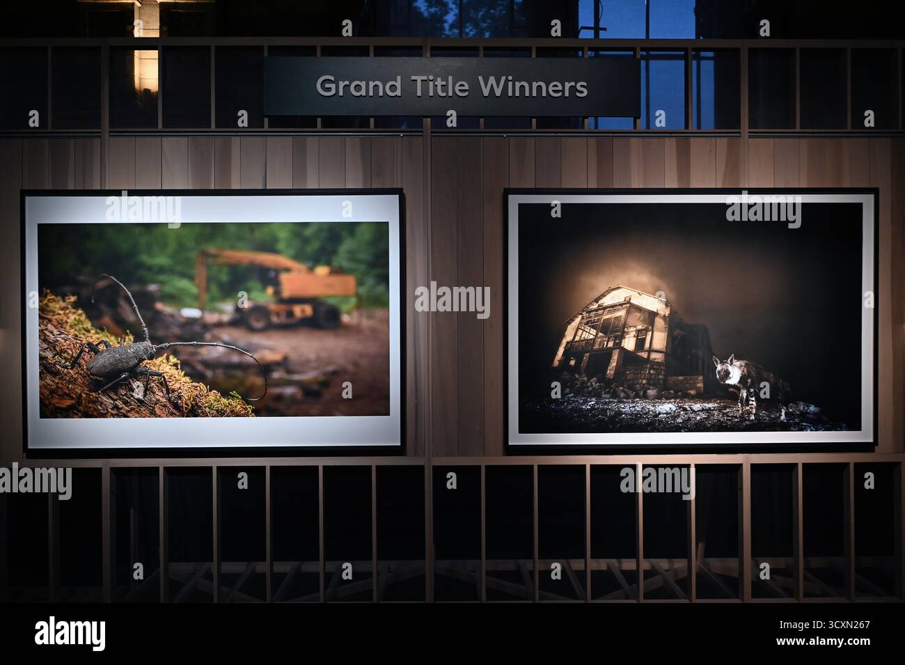 South African wildlife photographer Wim ban den Heever was announced as ...