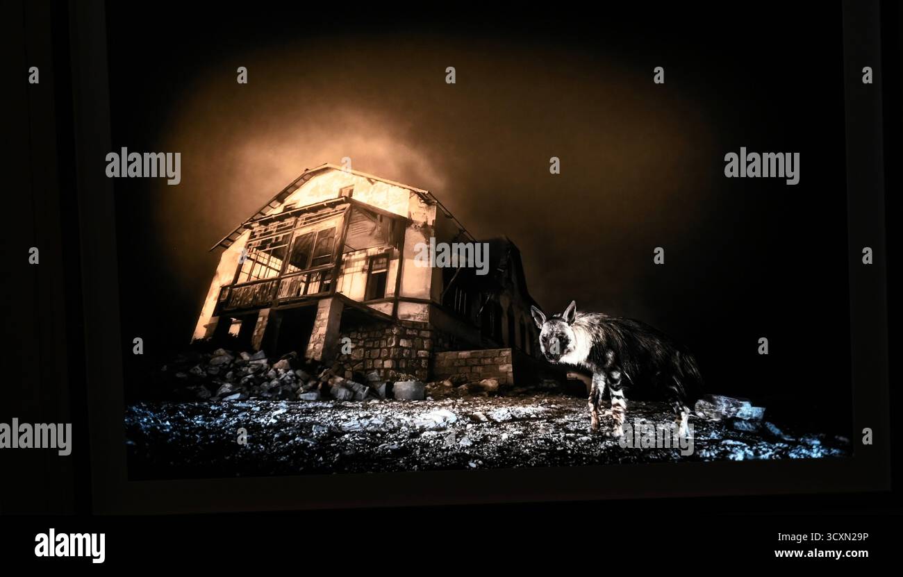 South African wildlife photographer Wim ban den Heever was announced as ...