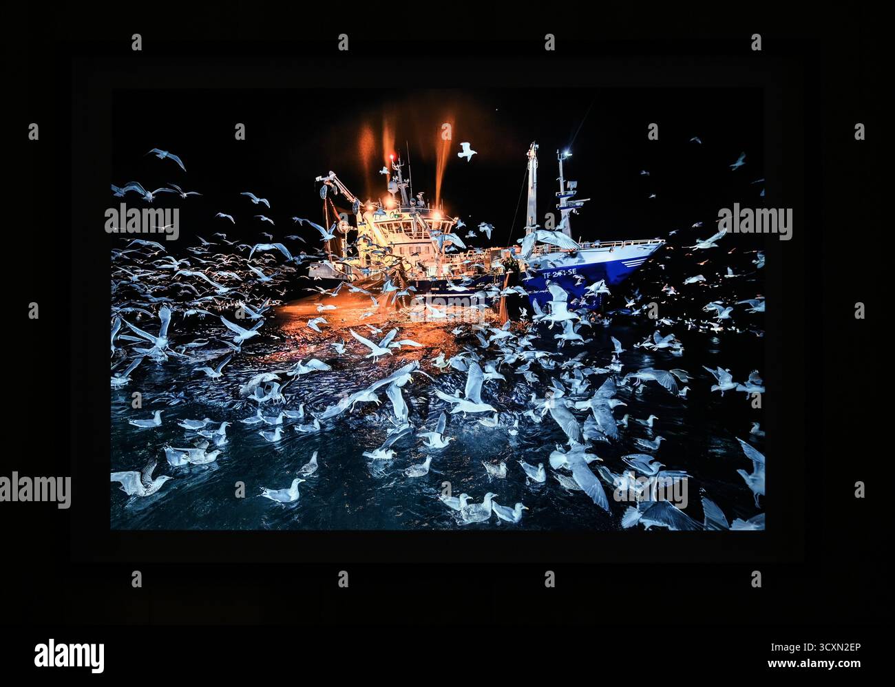 South African wildlife photographer Wim ban den Heever was announced as ...