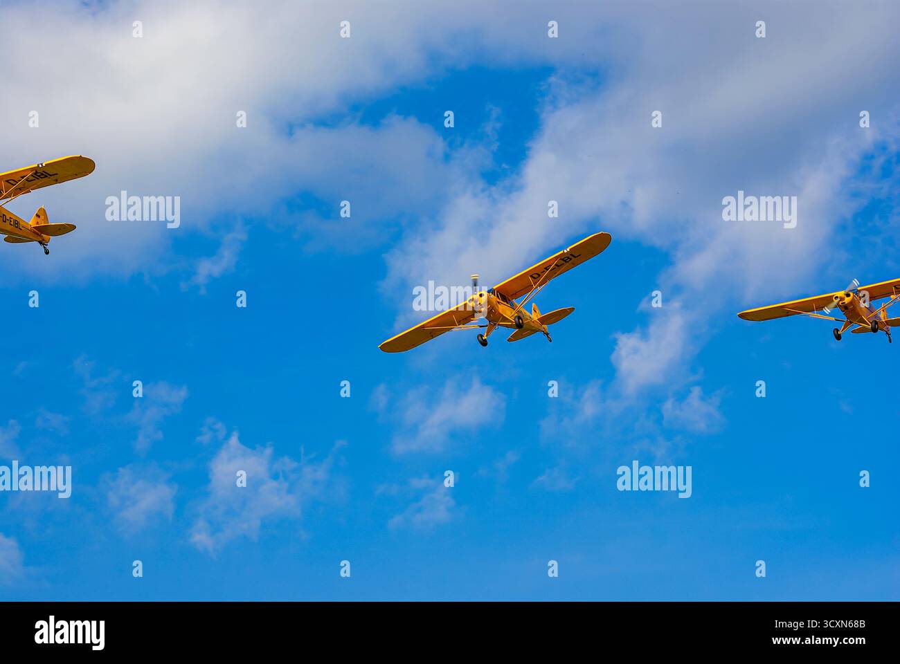 Three Piper PA-18 Super Cub aircraft flying in formation during an air ...