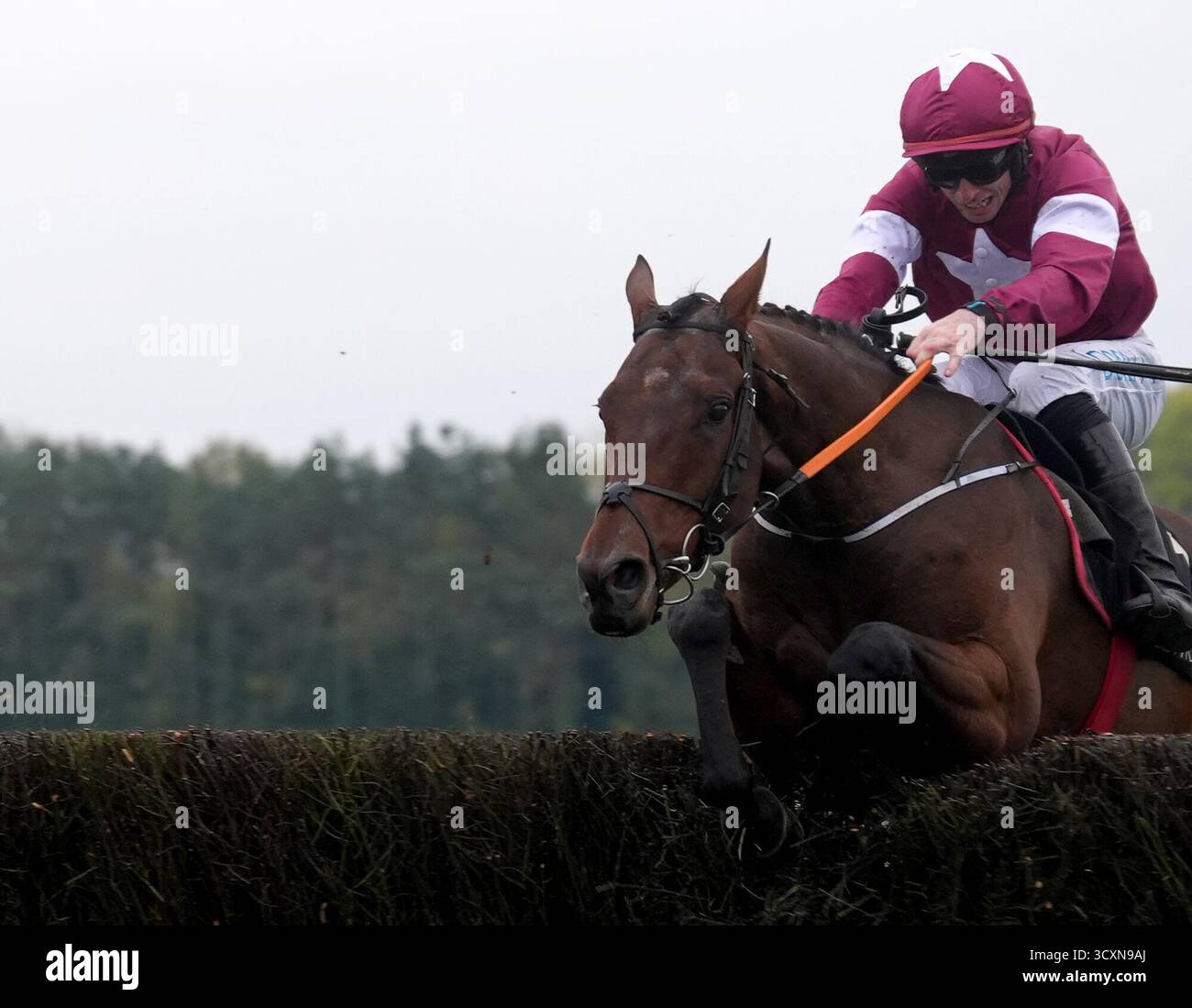 King Of Kingsfield ridden by Jack Kennedy on his way to winning the ...