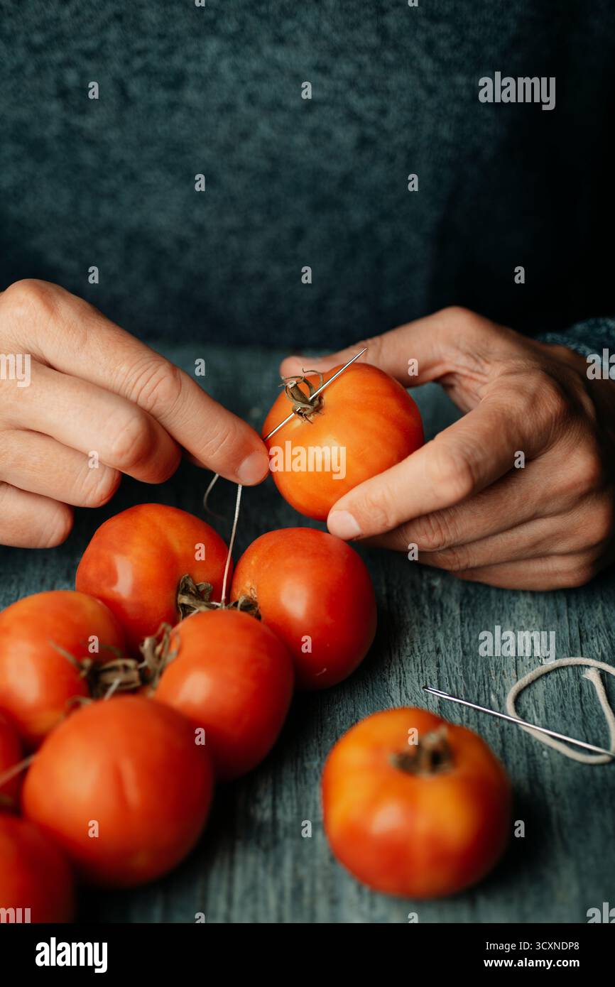 a man threads Spanish tomates de colgar, tomatoes for hanging, with a ...