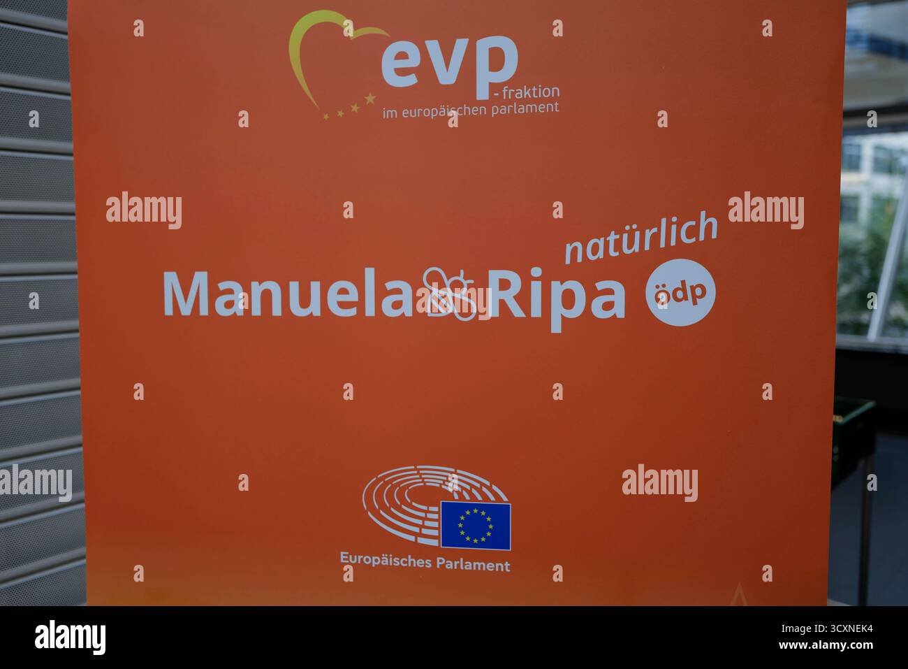 The Shark Lab takes place at the European Parliament's Culina Mundi ...