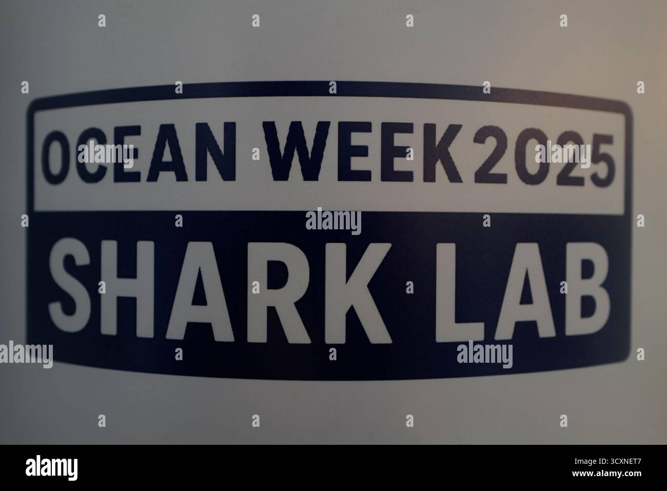 The Shark Lab takes place at the European Parliament's Culina Mundi ...