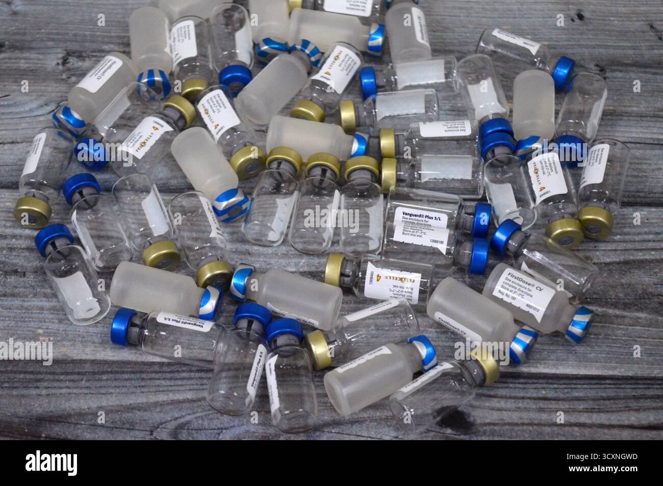 Cairo, Egypt, October 8 2025: Background of various and different types ...