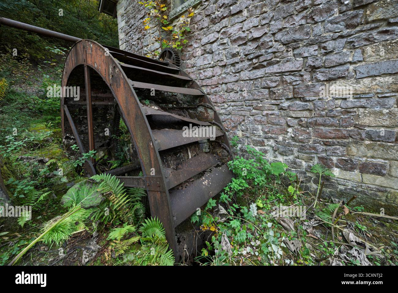 Ashford bobbin mill is a preserved 19th century water mill by the river ...