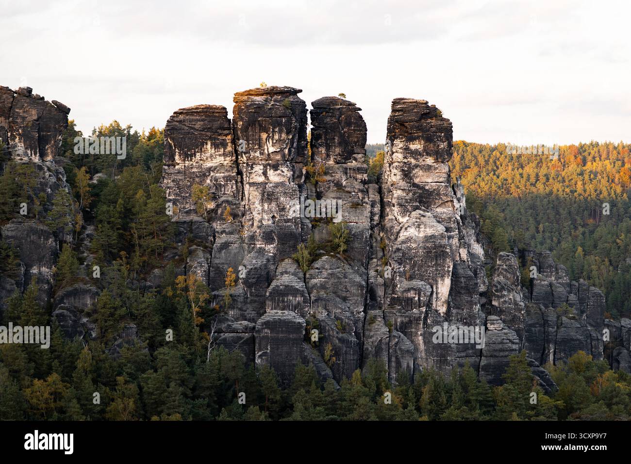 Sandstone rock formation in the Saxon Switzerland in East Germany ...