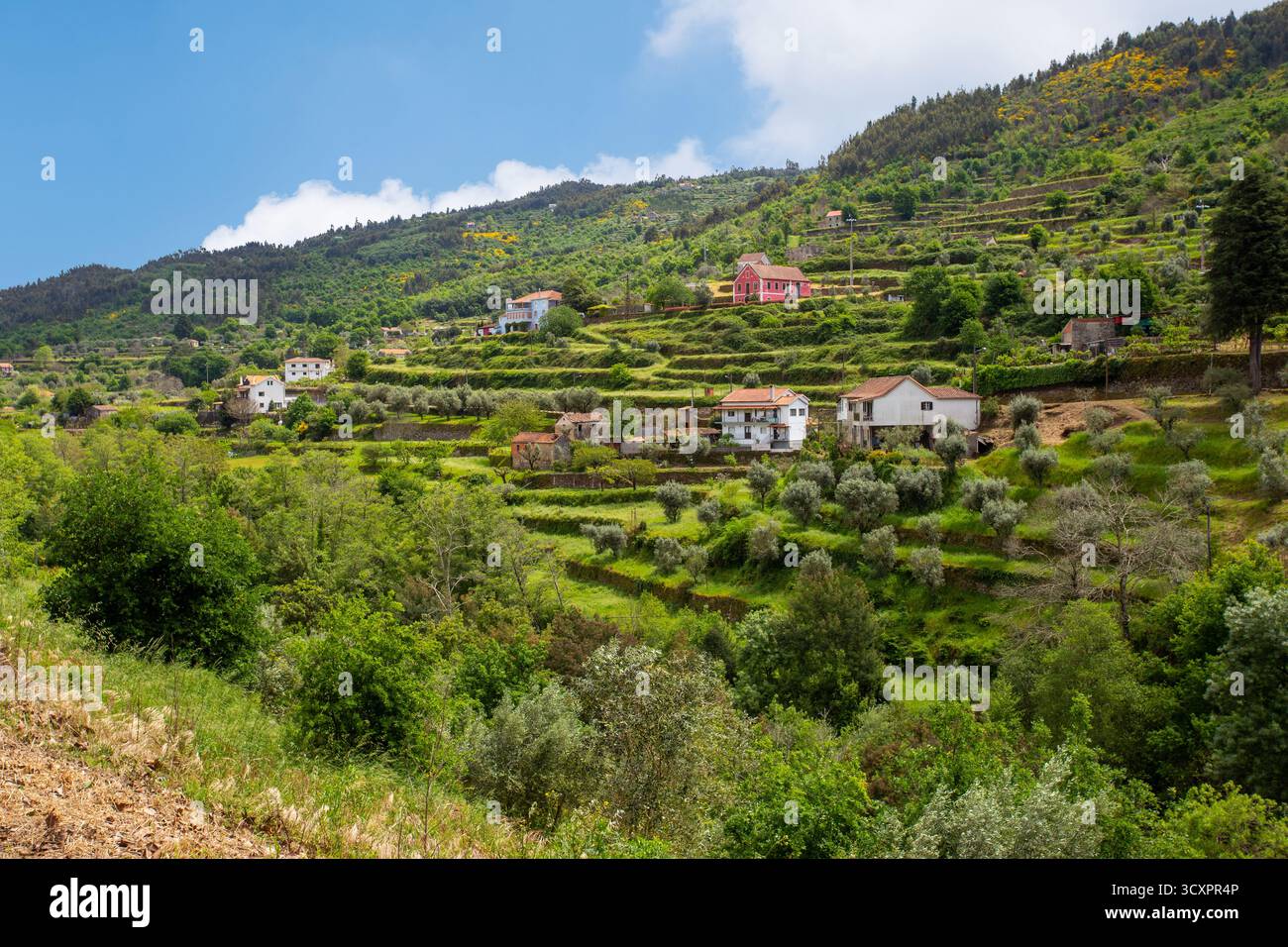 Avô hi-res stock photography and images - Alamy