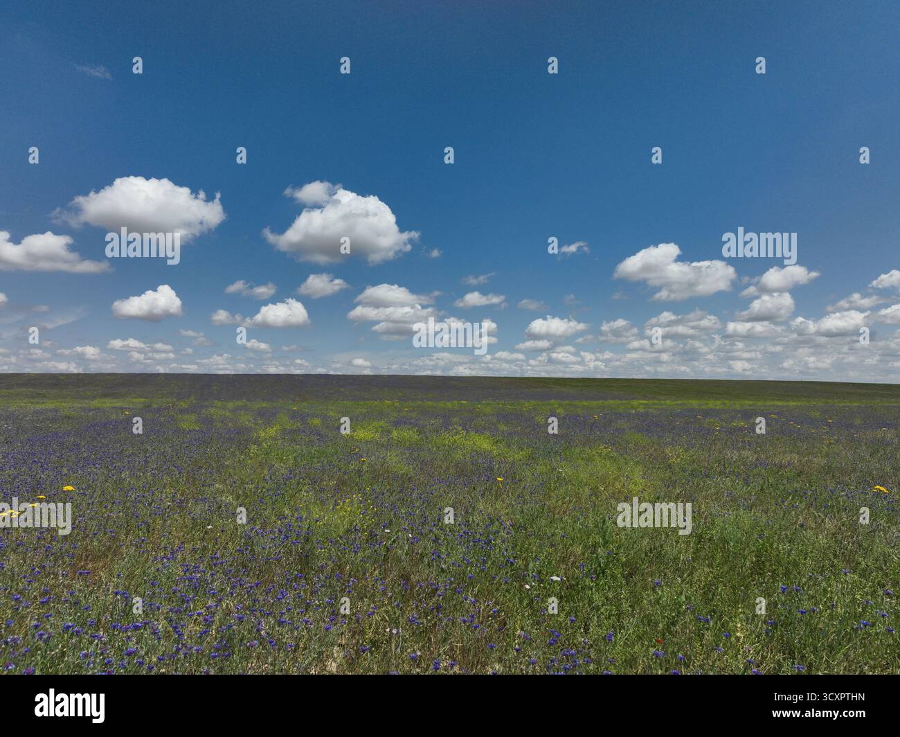 Serene landscape shows distant hi-res stock photography and images - Alamy