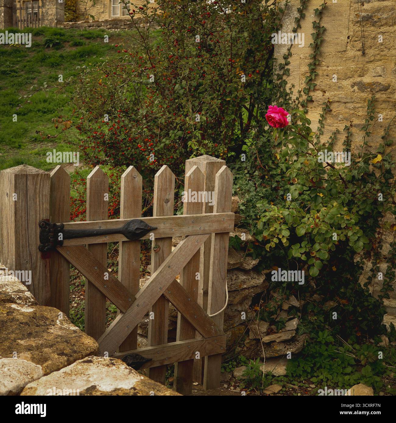 Rustic wooden garden gate with cast iron hinge, opening to a peaceful ...