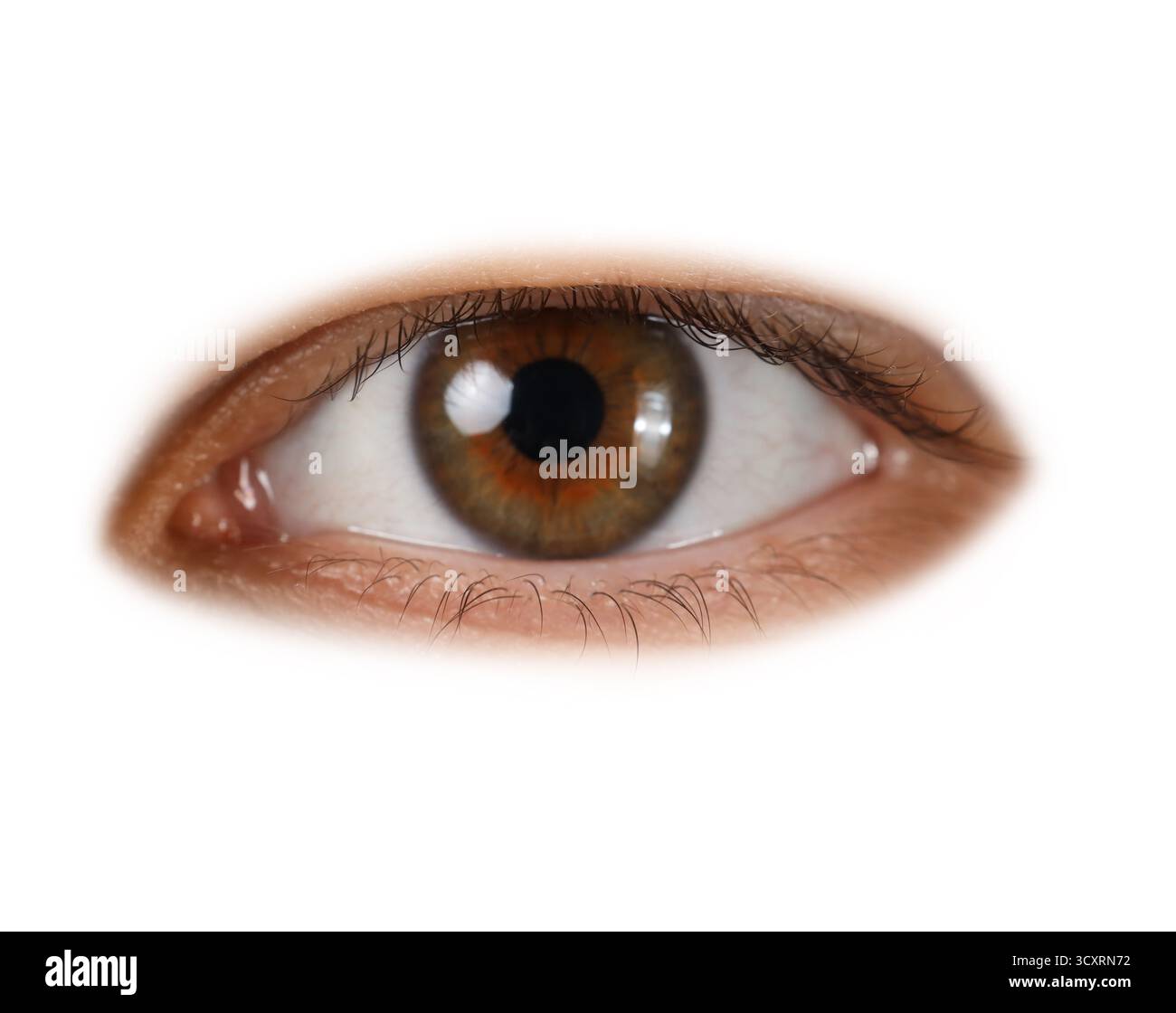 Macro closeup human eye Cut Out Stock Images & Pictures - Alamy