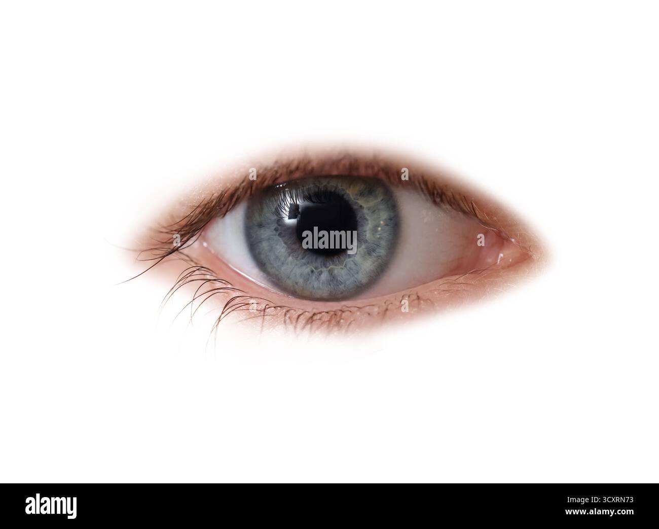 Ophthalmology eye check up Cut Out Stock Images & Pictures - Alamy