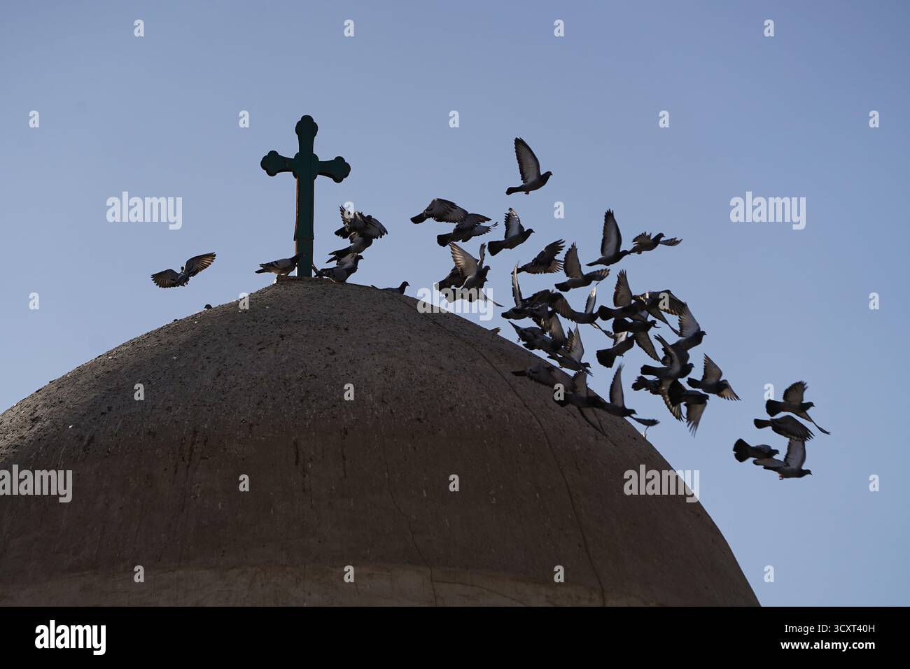 Birds fly near a cross placed atop the dome of St. Thomas Syriac ...