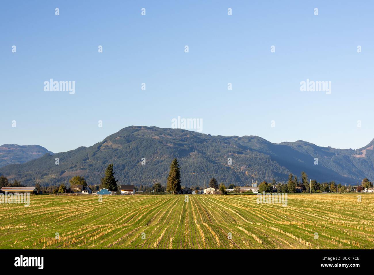 Vast cultivated farm field leading to rural buildings with a mountain ...