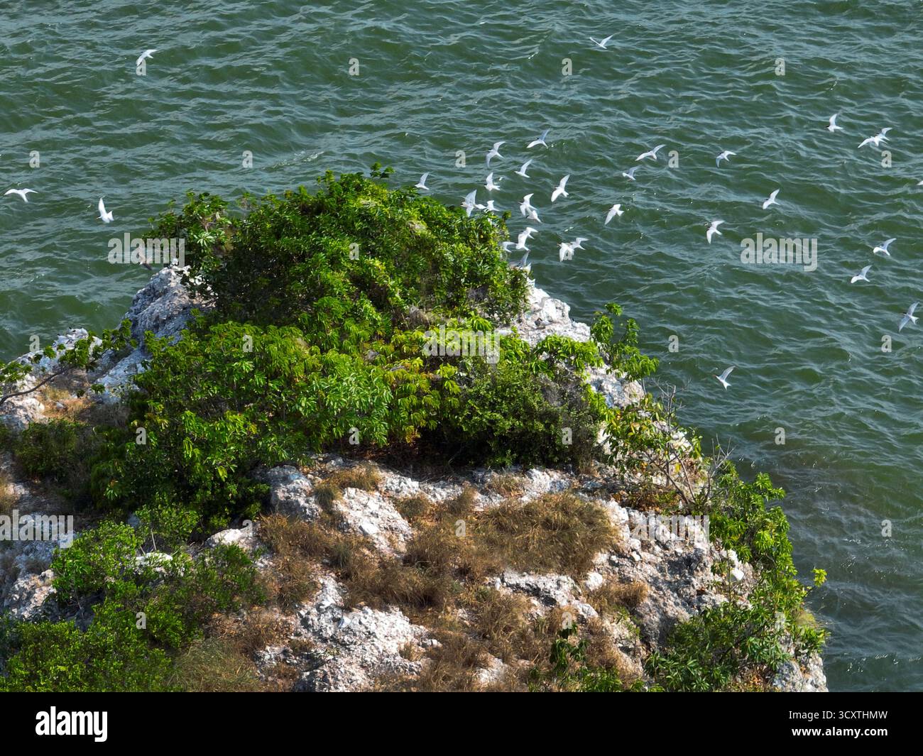 Aerial photography of Pigeon Island, Fengchi Island, Jinhai Bay ...