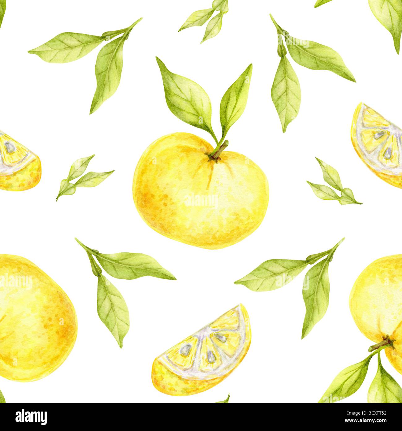 Botanical layout of yellow yuzu fruits and green leaves created as ...