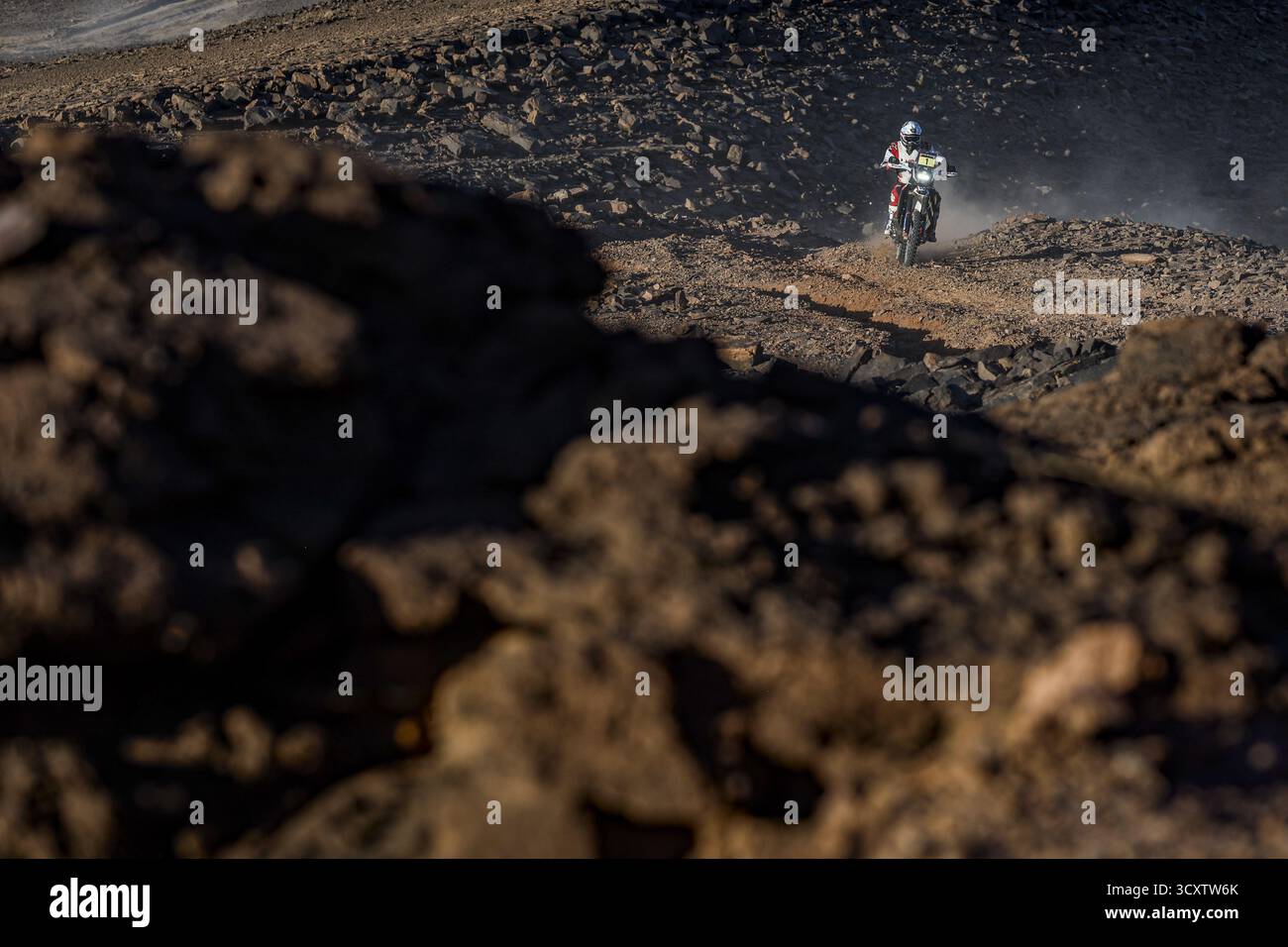 01 BRANCH Ross (BOT), Hero Motorsports Team Rally, Hero 450 Rally, FIM ...