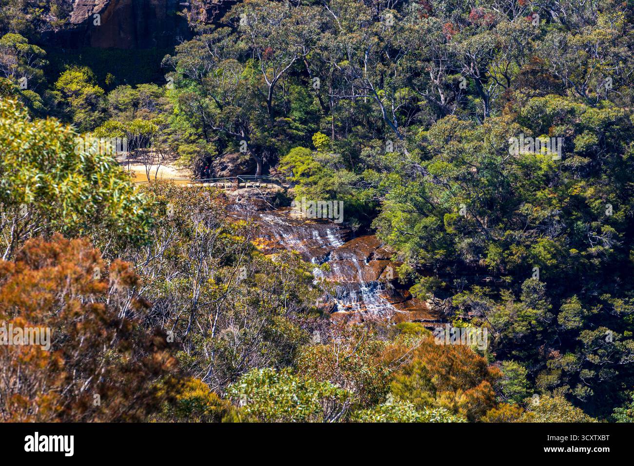 Wentworth Falls from Jamison Lookout, Blue Mountains National Park, New ...