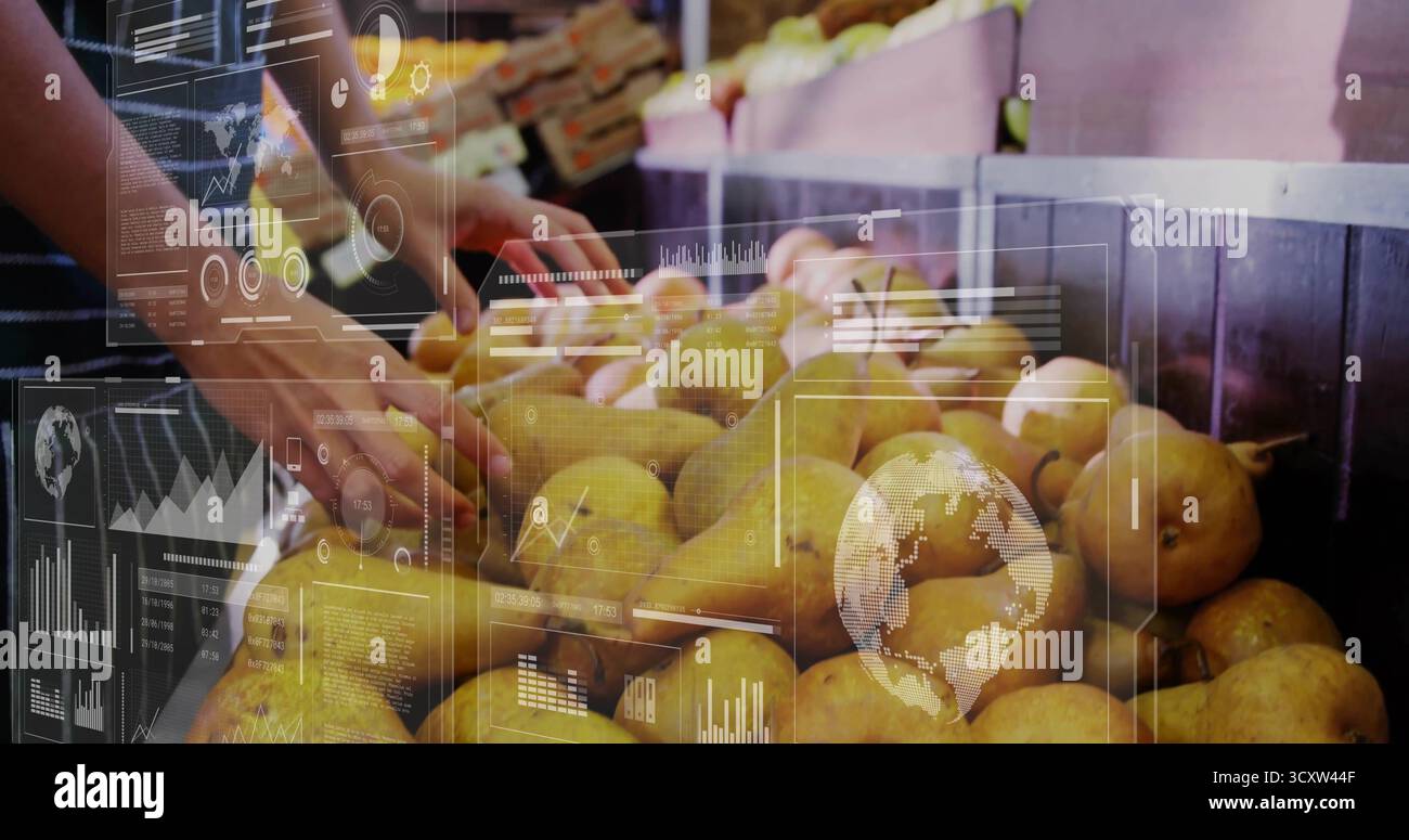 Selecting shopper hands grabbing yellow-green pears from crates in ...