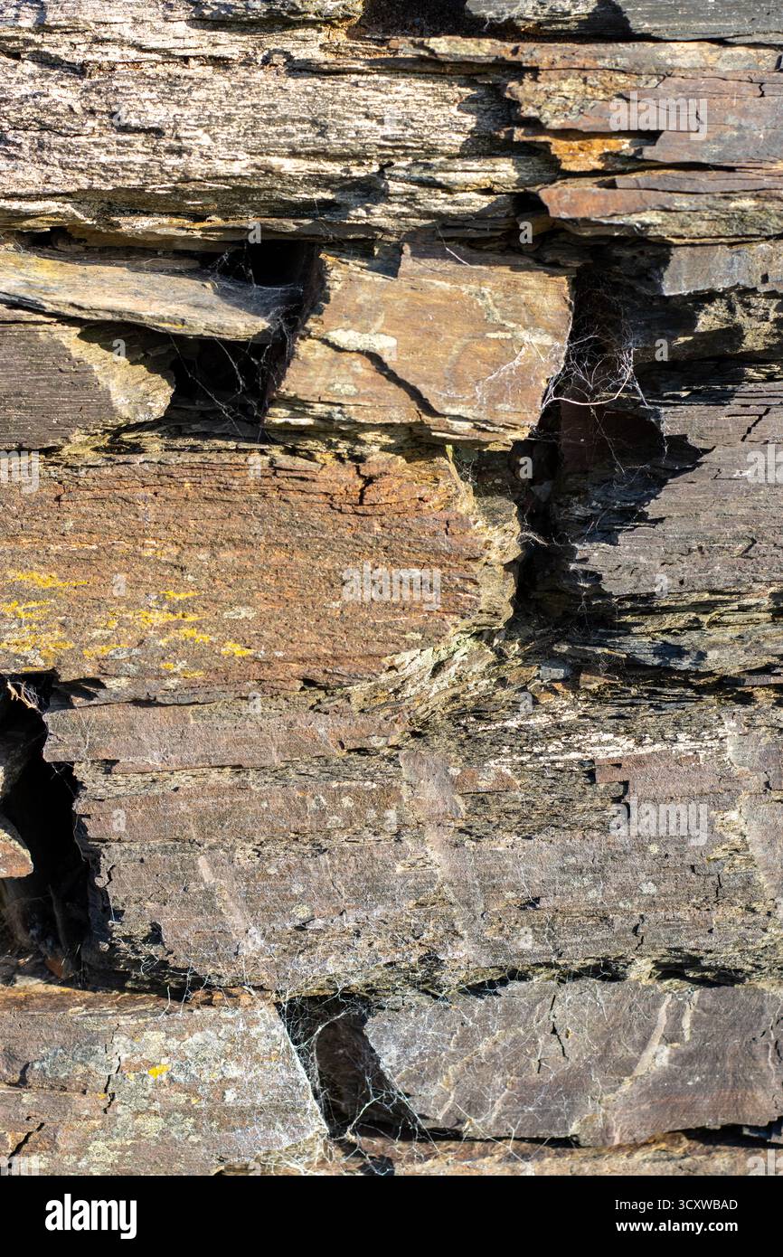 traditional dry stone wall building and construction at the Devon ...