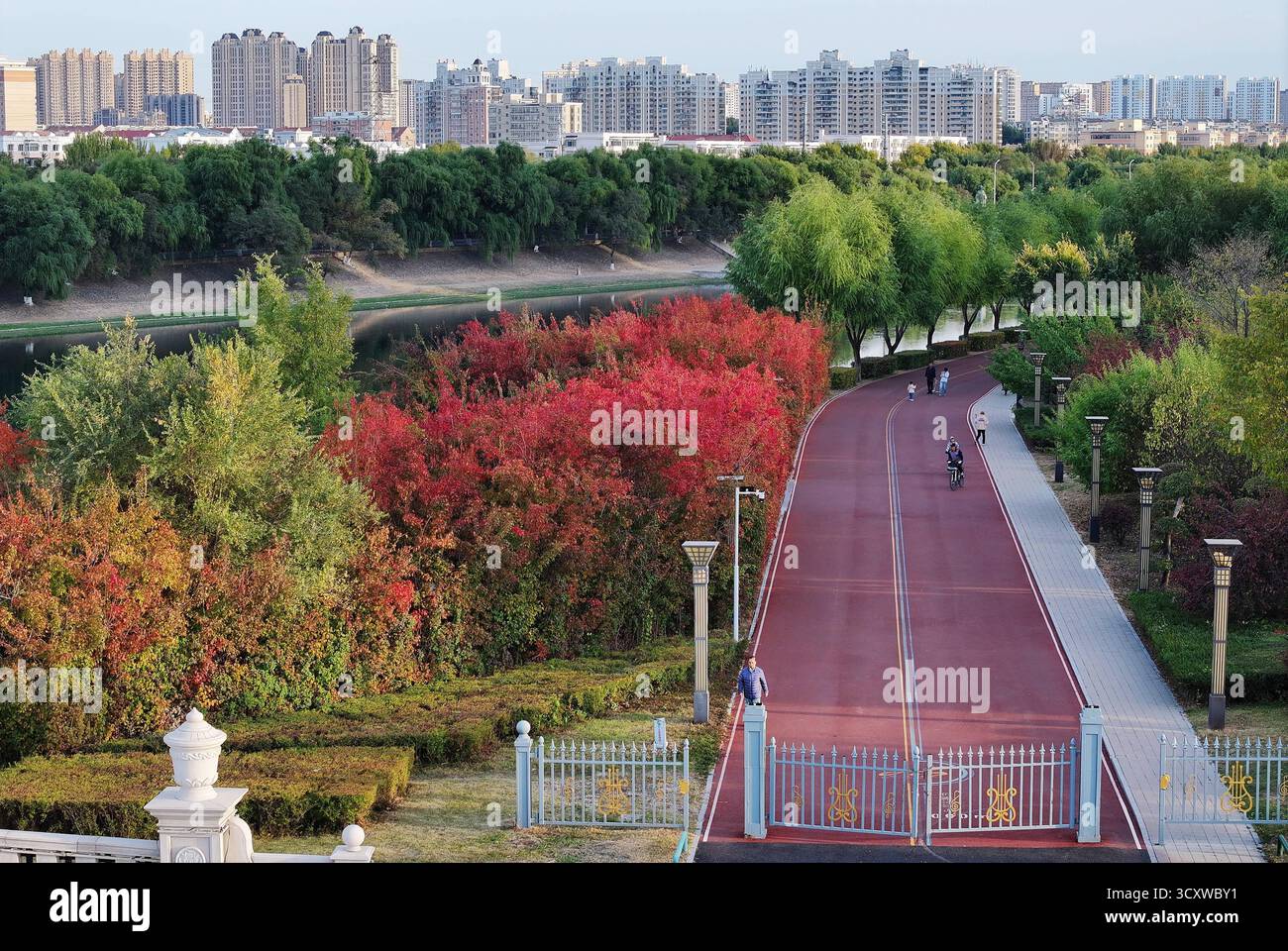 Aerial photo shows the autumn scenery in Harbin City, northeast China's ...