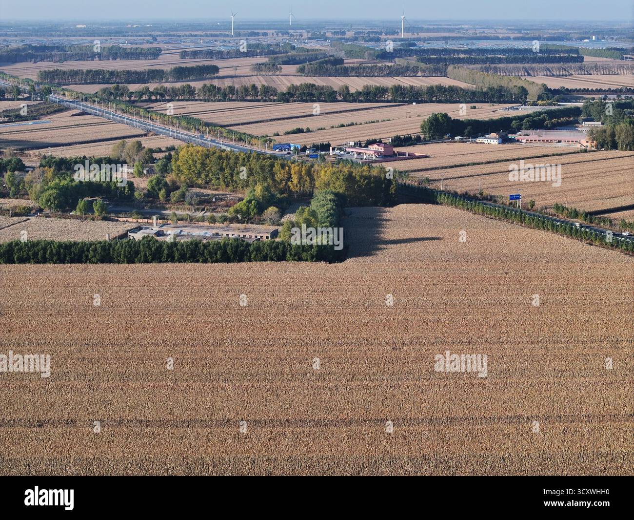Aerial photo shows harvesters working in the field in Harbin City ...