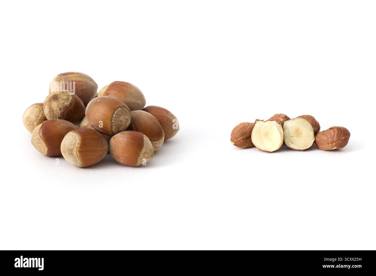 Whole hazelnuts scattered on a clean white background, showcasing their ...