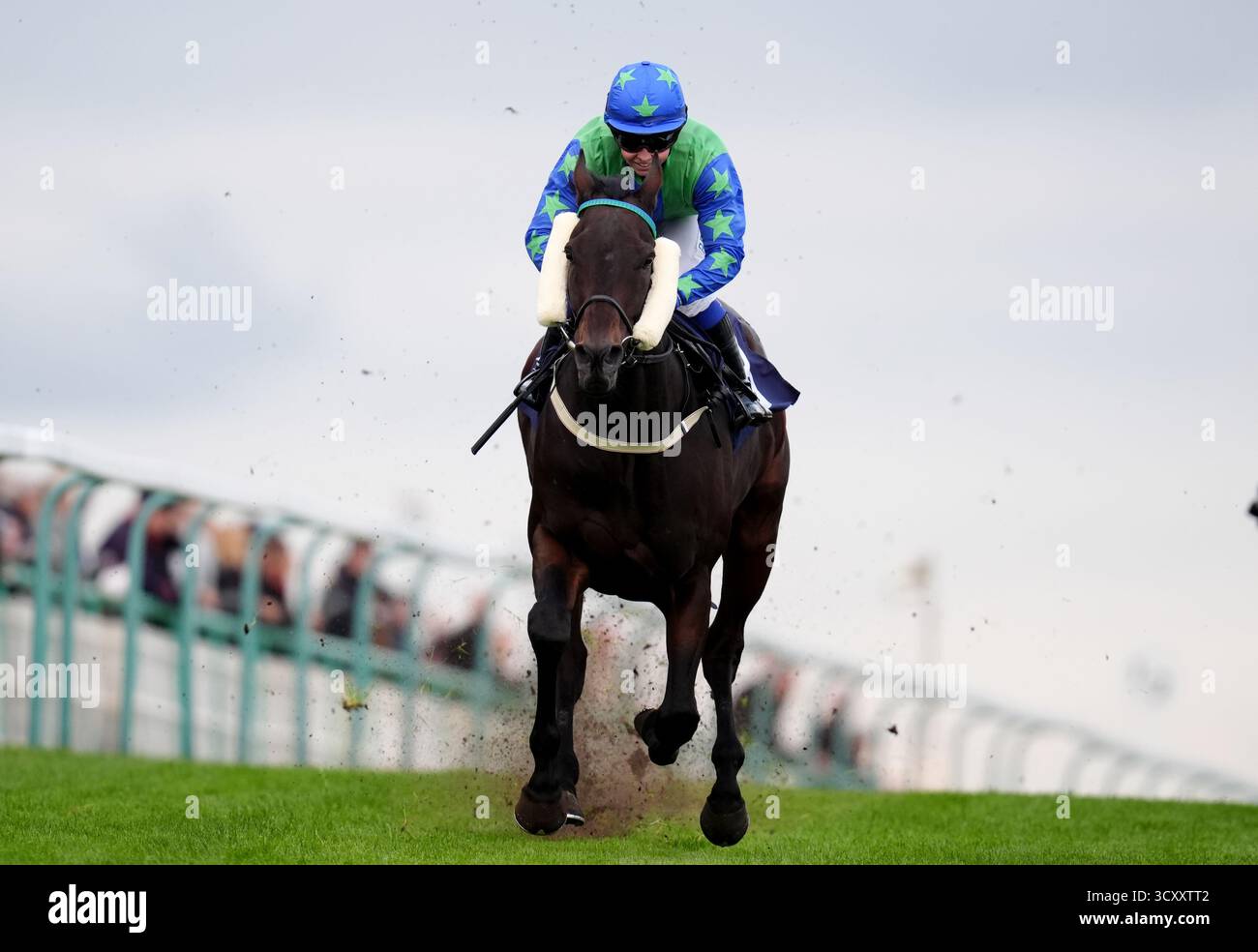 Mc'ted ridden by Alice Bond on their way to winning the Parkfield ...