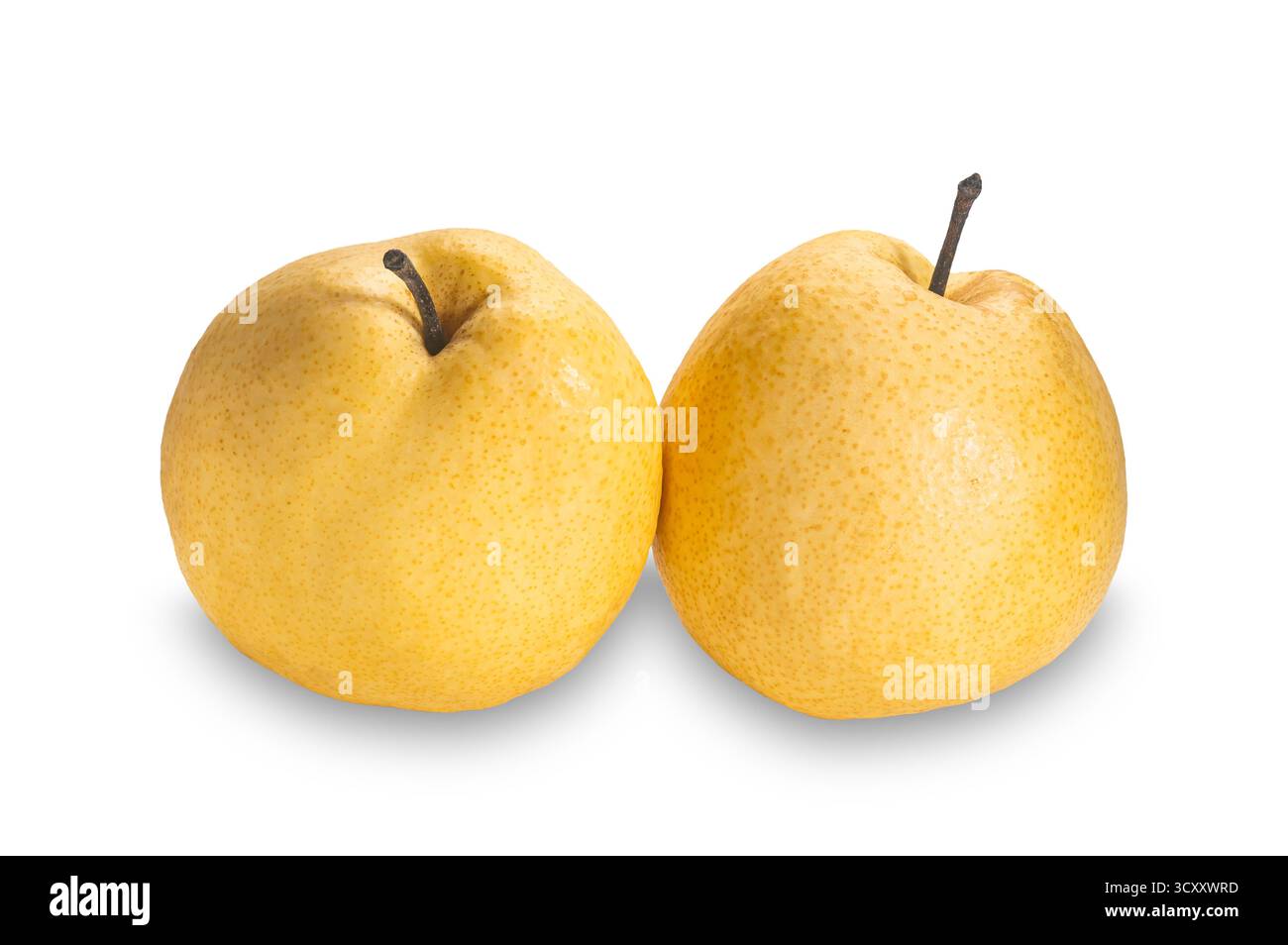 Ripe sweet organic chinese pears isolated on white background with ...