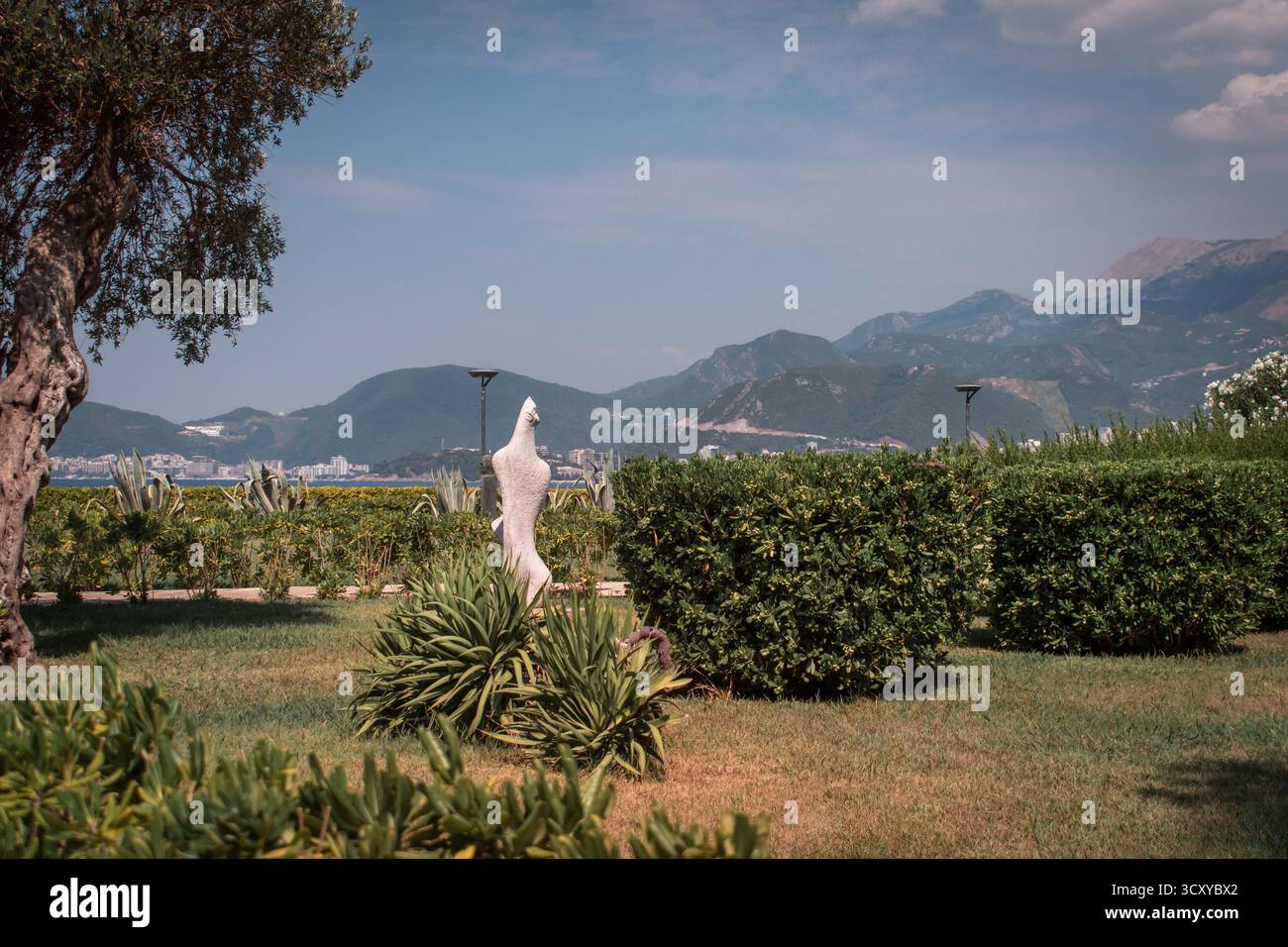 The blue, clear Adriatic Sea, surrounded by mountains Stock Photo - Alamy