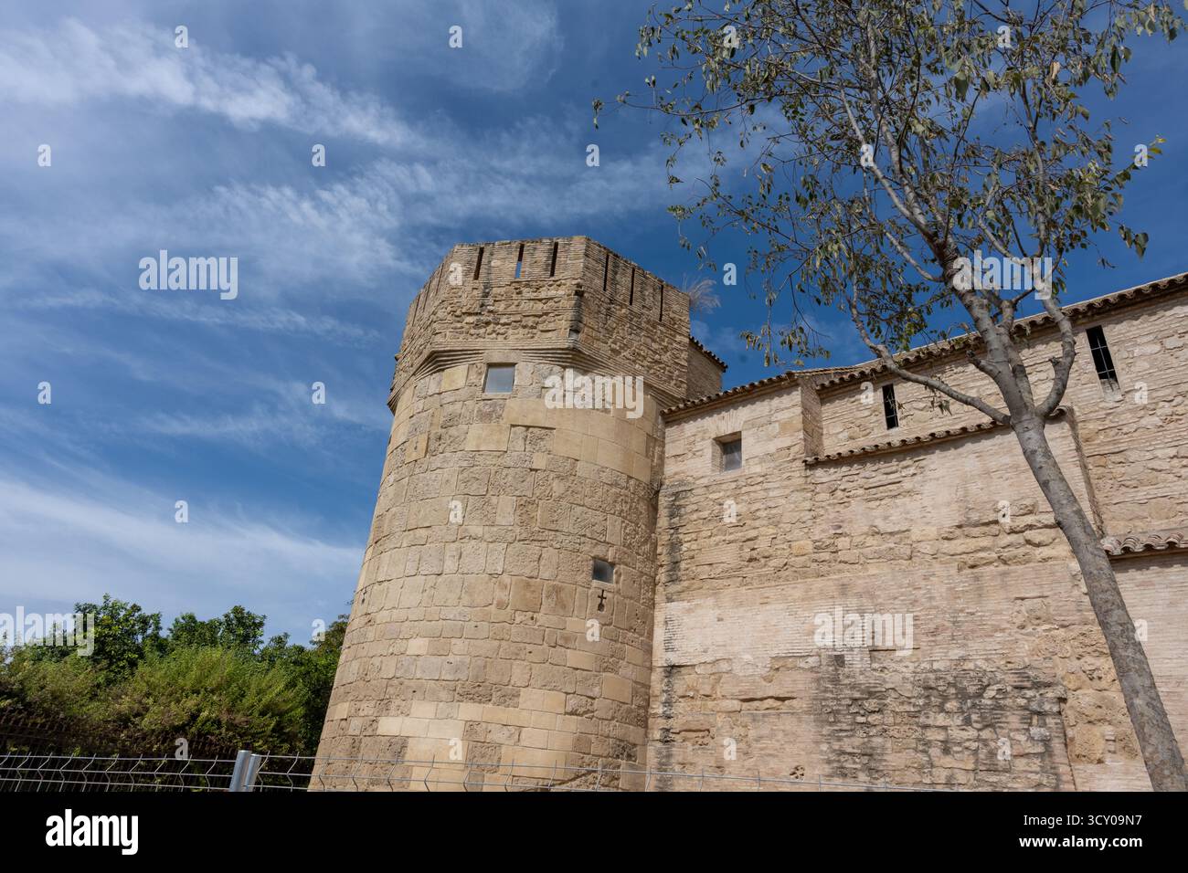 Details of the traditional architecture of Granada, southern Spain ...
