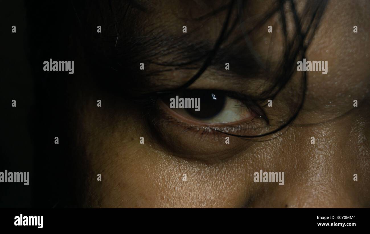 Extreme close-up of one brown eye from Indonesian man, detailed iris ...