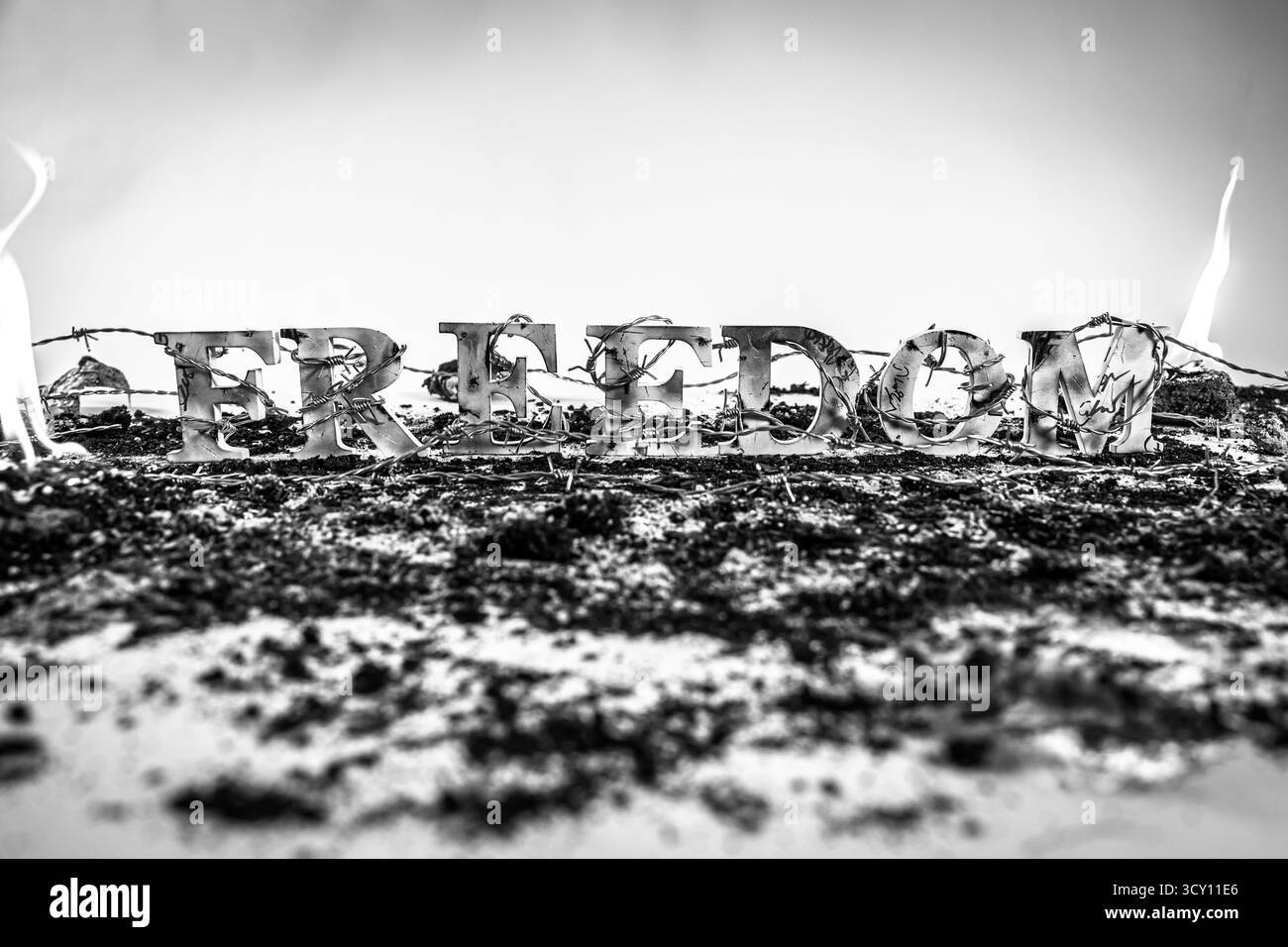 Wooden letters spelling word freedom hi-res stock photography and ...