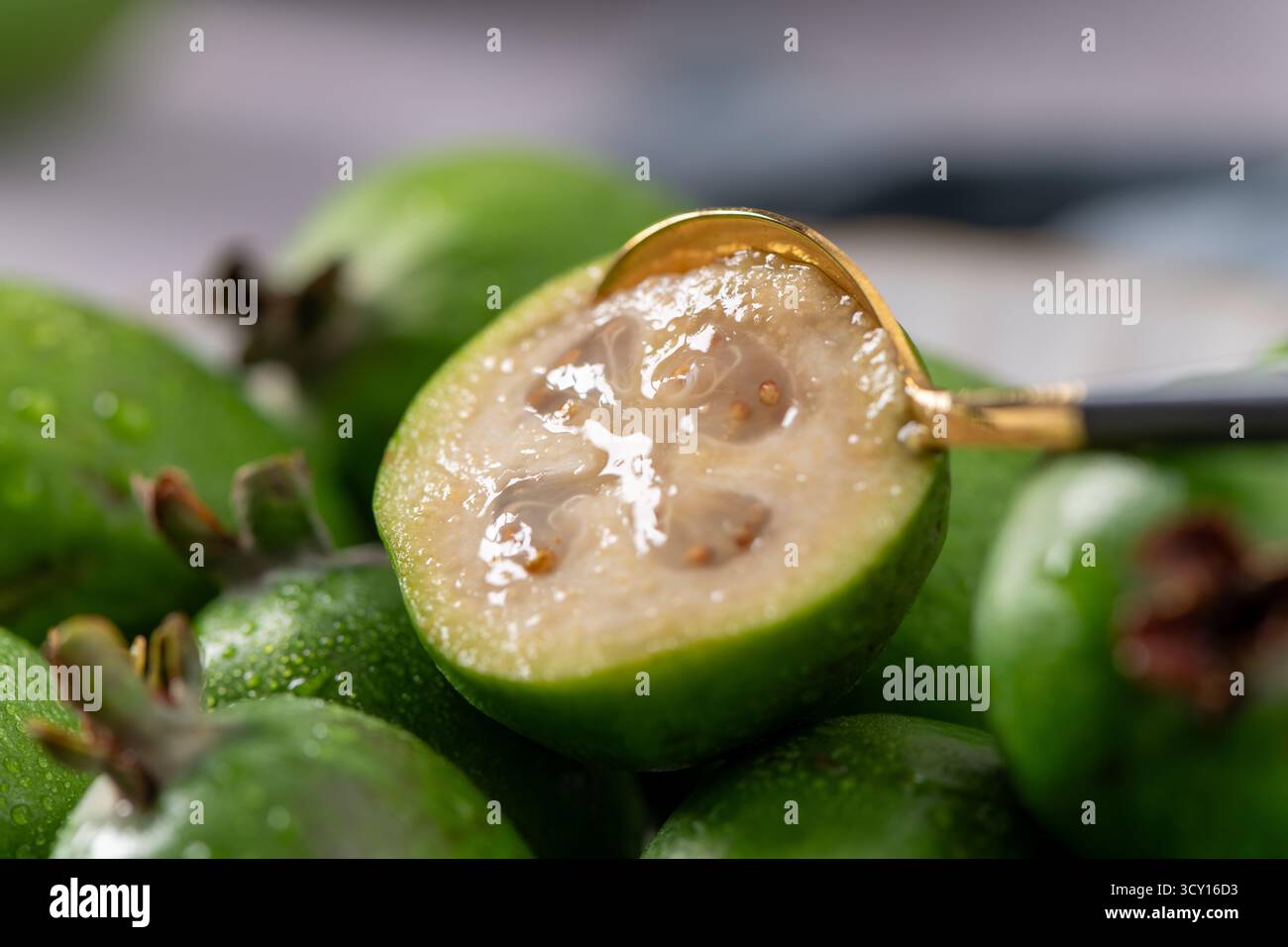 Extreme close up focuses on hi-res stock photography and images - Alamy