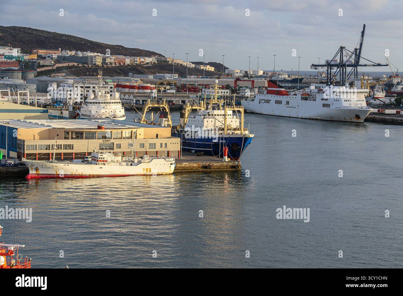 Las Palmas harbor, Spain: Japanese fishing vessel SUMIYOSHI MARU NO.81 ...
