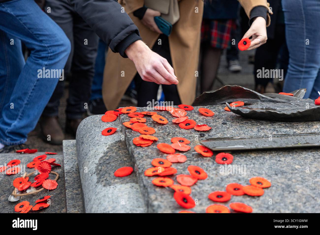 People putting poppy flowers on the Tomb of the Unknown Soldier in ...