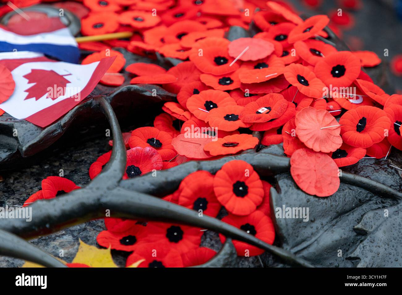 Remembrance Day red poppy flowers on Tomb of the Unknown Soldier in ...